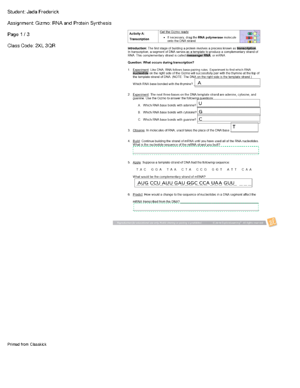 Gizmo RNA and Protein Synthesis Jada Frederick - Student: Jada ...
