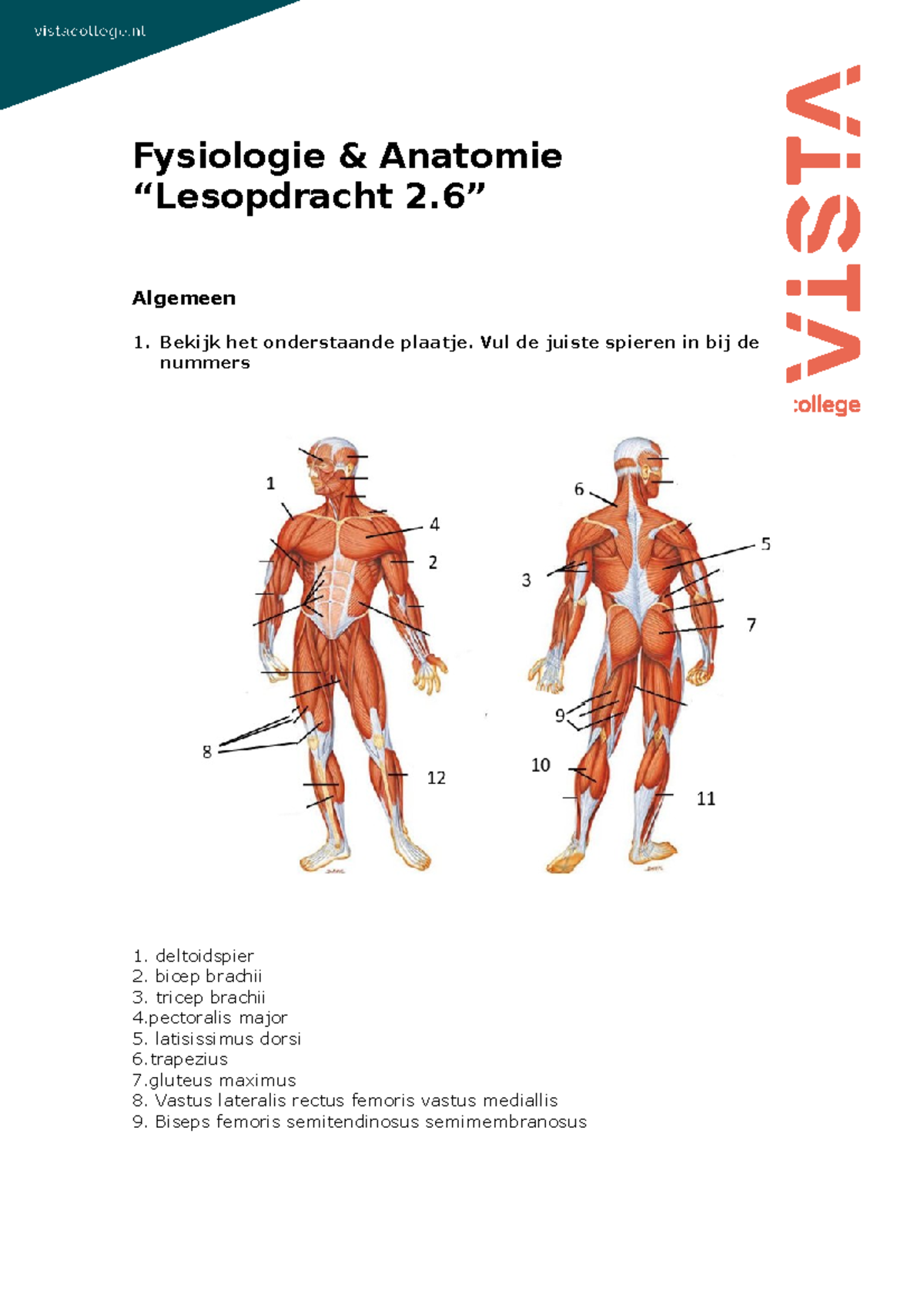 Fy& ana Lesopdracht 2.6 Zineb - Fysiologie & Anatomie “Lesopdracht 2 ...