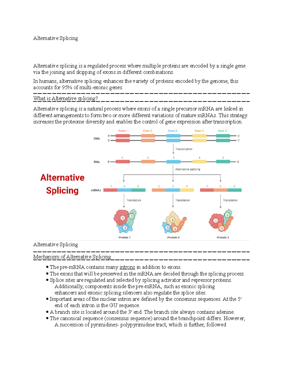Alternative Splicing - notes - Alternative Splicing Alternative ...