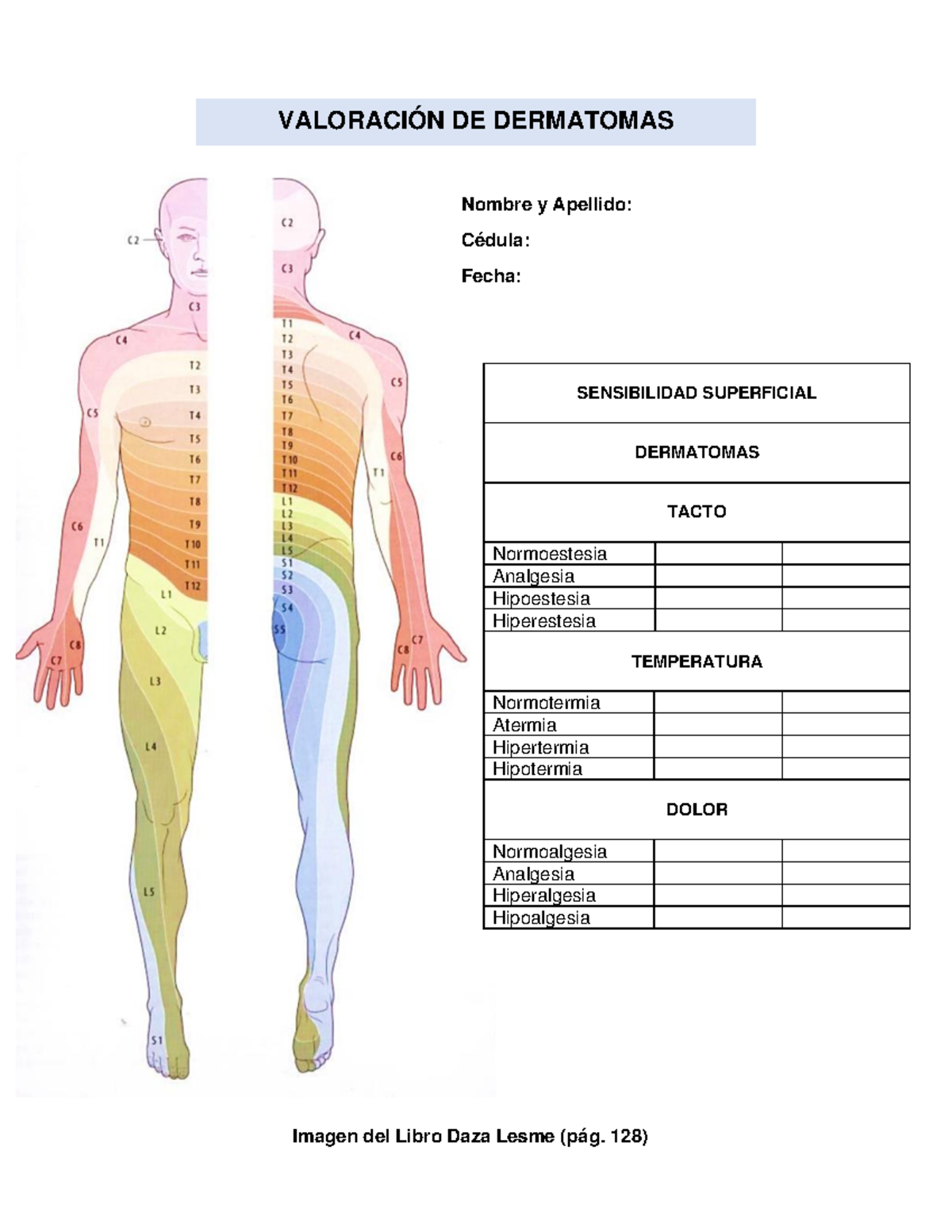 Valoracion DE Dermatomas Y Miotomas - educacion fisica - UPTAEB - Studocu