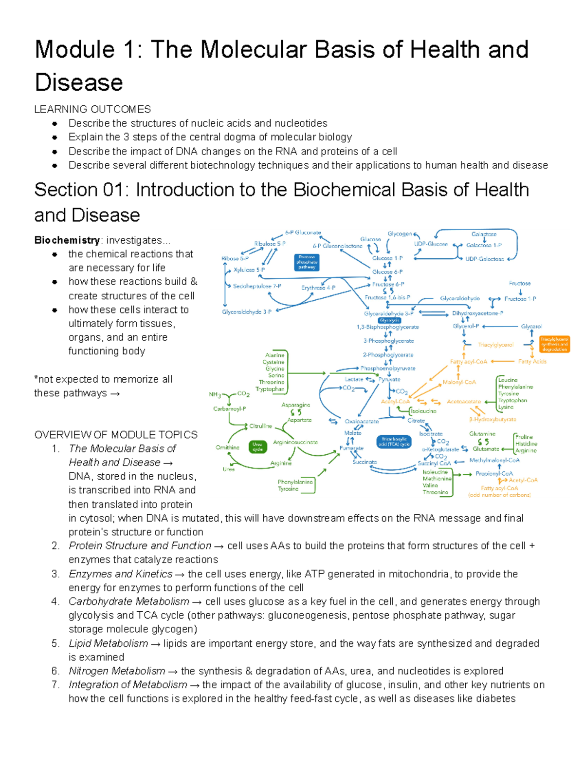 Bchm 270 - module 1 notes - Module 1: The Molecular Basis of Health and ...