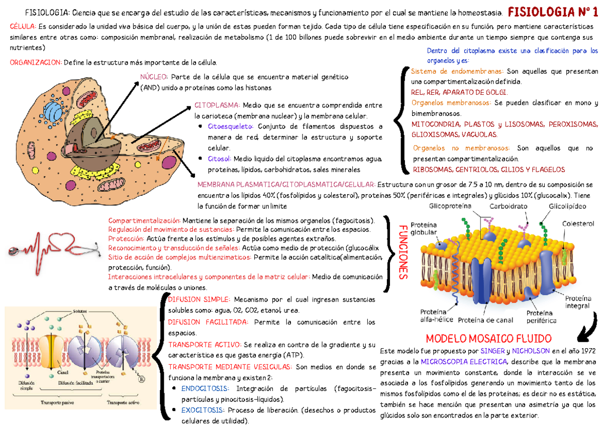 Fisio N° 1 (1) - lectura - Interacciones intracelulares y componentes ...