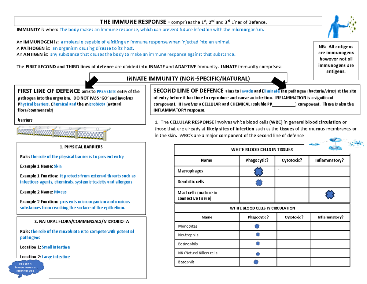 Summary poster Innate - Biology notes for UNIT 4 AOS 1 - THE IMMUNE ...