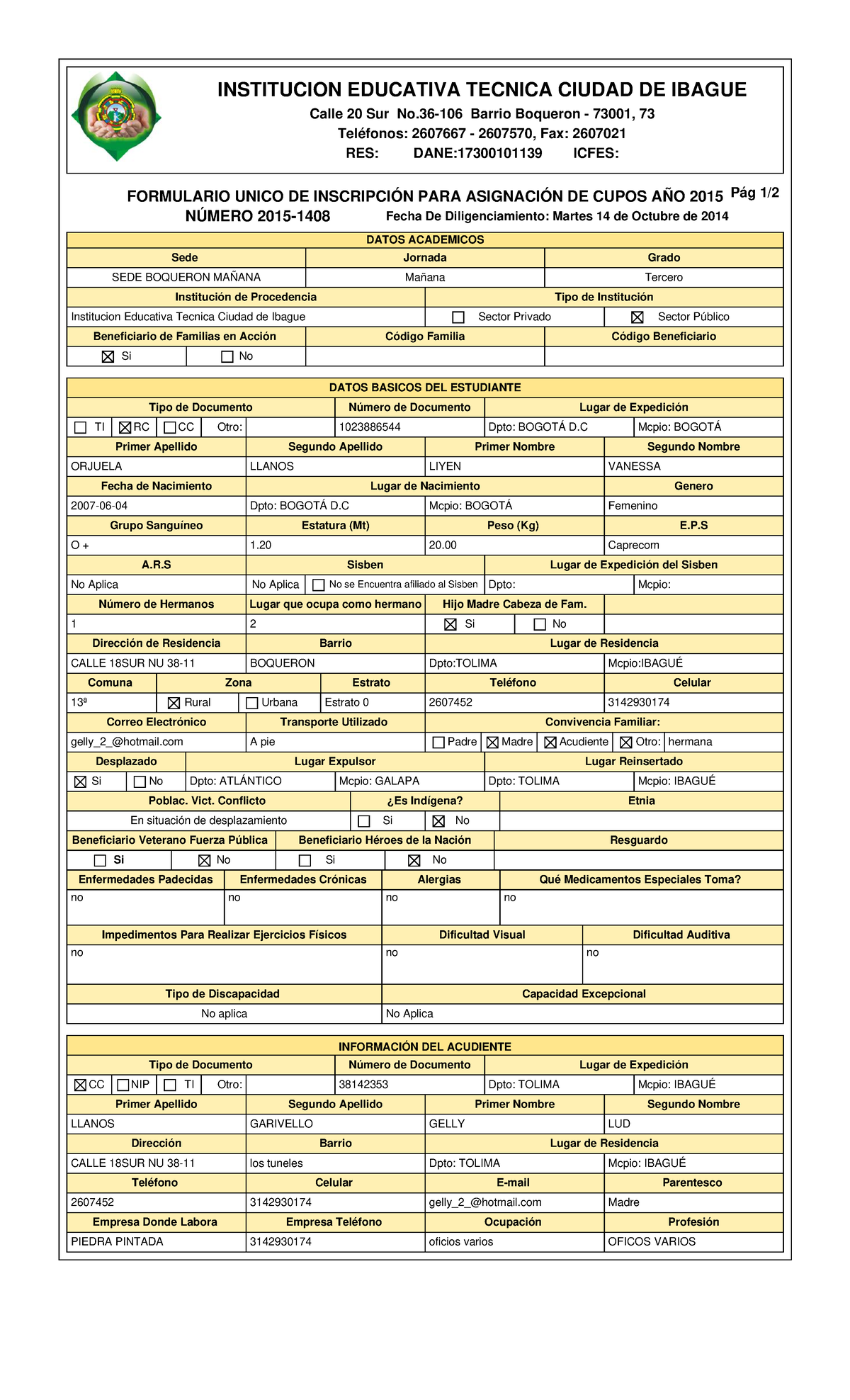 Formulario matricula vanessa - INSTITUCION EDUCATIVA TECNICA CIUDAD DE ...