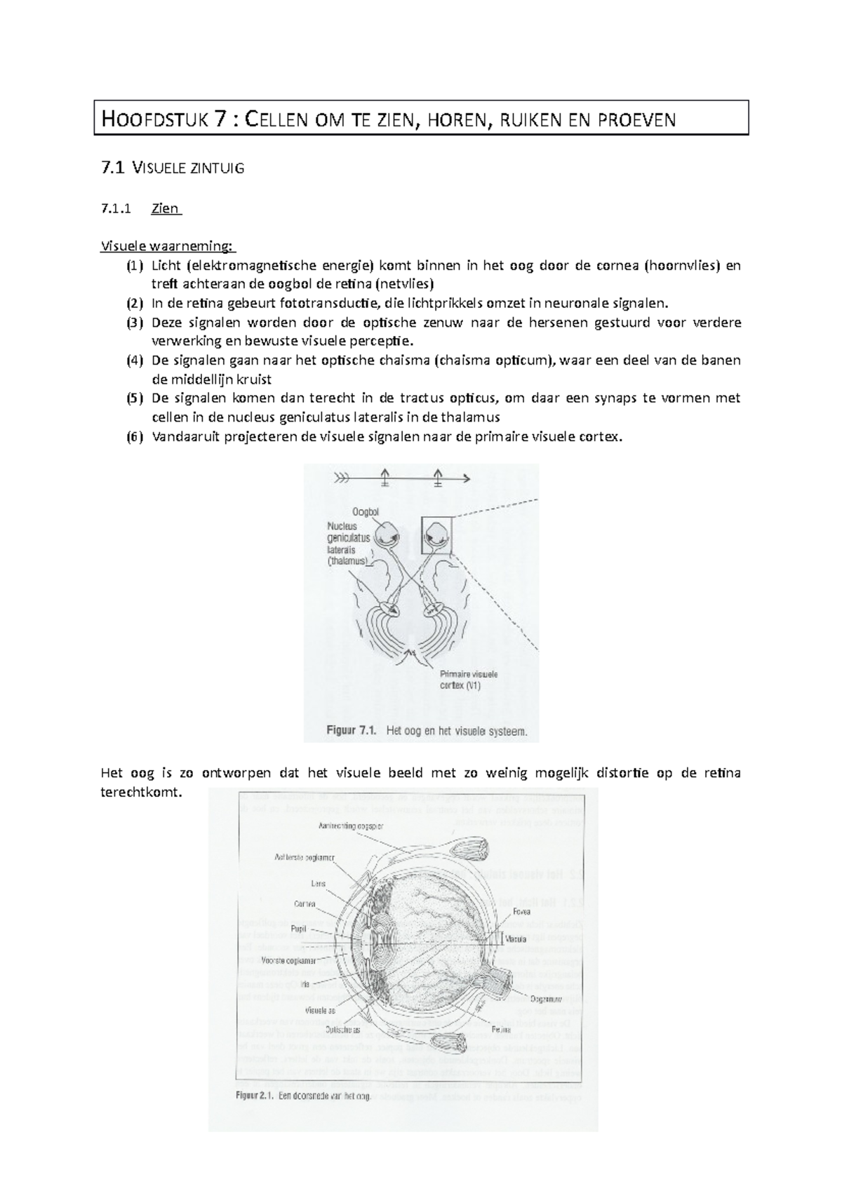 Hoofdstuk 7 - Samenvatting De Zenuwcel: Zakboek Neurofysiologie ...