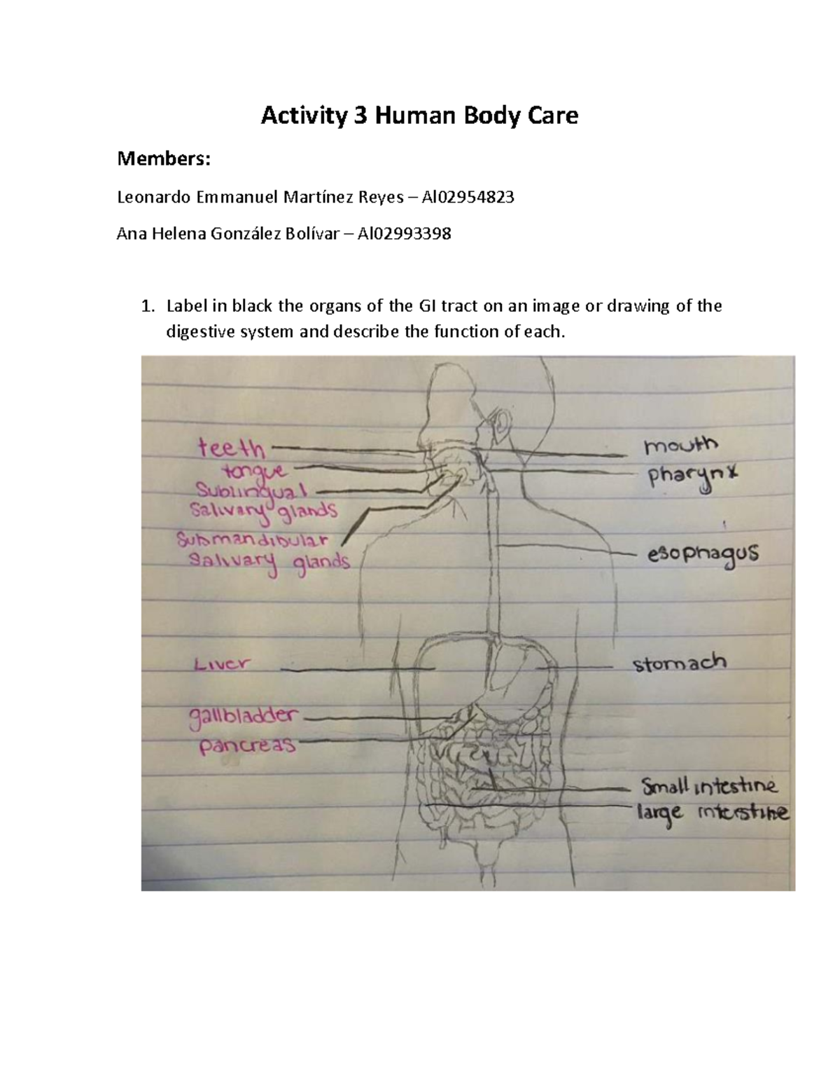 Activity 3 Human Body Care - Activity 3 Human Body Care Members ...