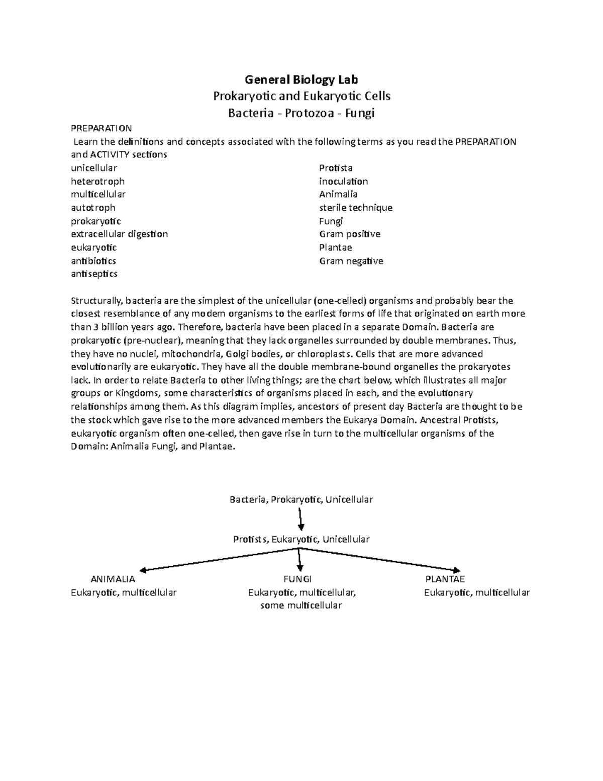 Biology Lab Prokaryotic and Eukaryotic Cells Bacteria - General Biology ...