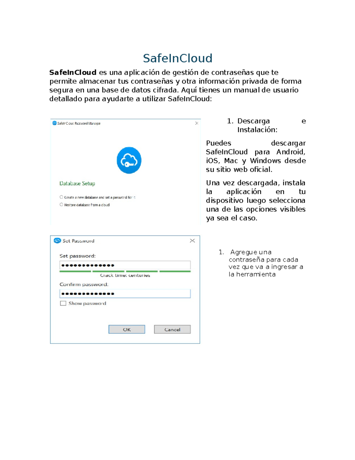 Safe In Cloud - SafeInCloud SafeInCloud es una aplicación de gestión de contraseñas que te ...