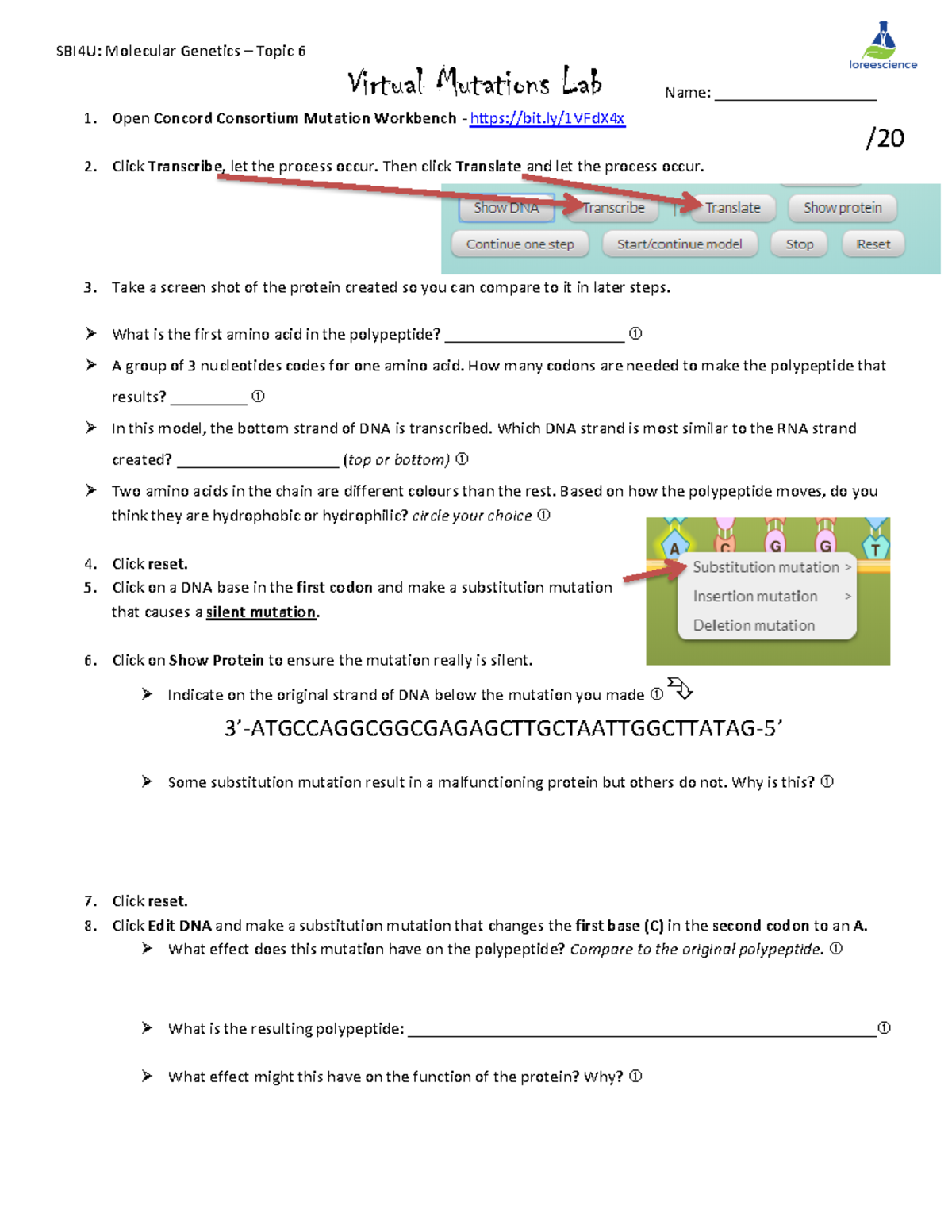 Virtual mutations lab instructions may 2018 - SBI4U: Molecular Genetics ...