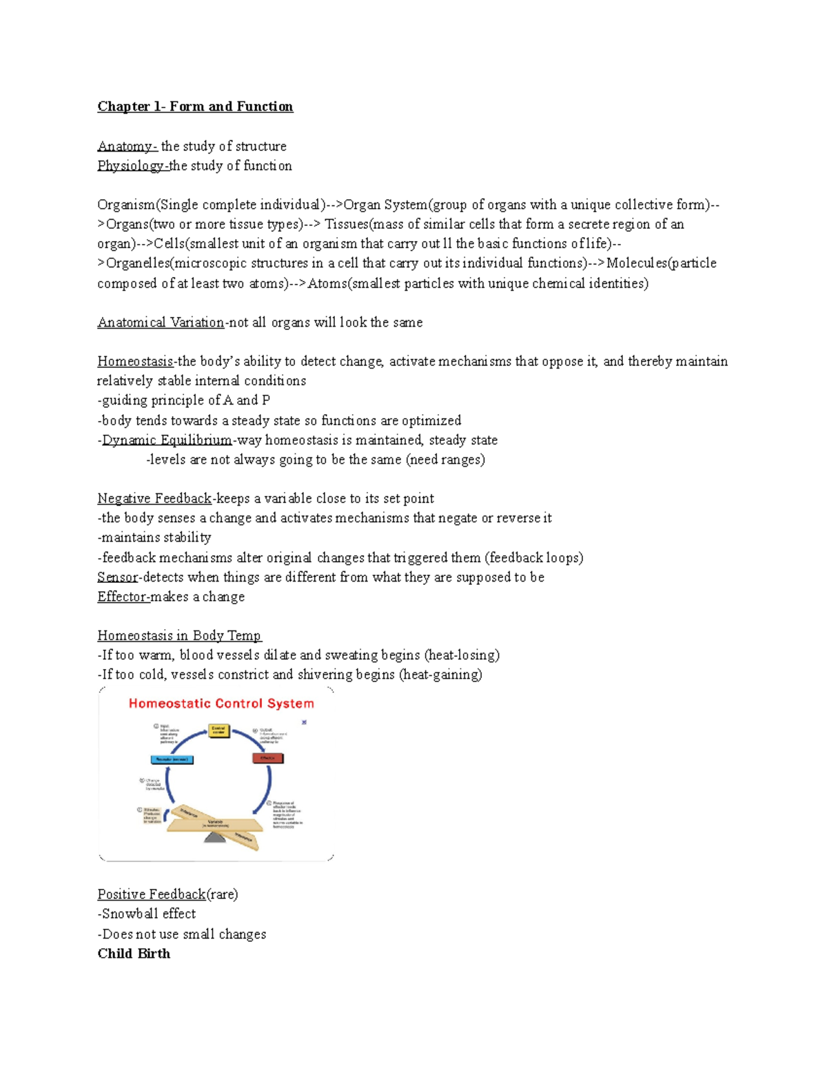 Chapter 1 Notes - Chapter Form and Function the study of structure ...