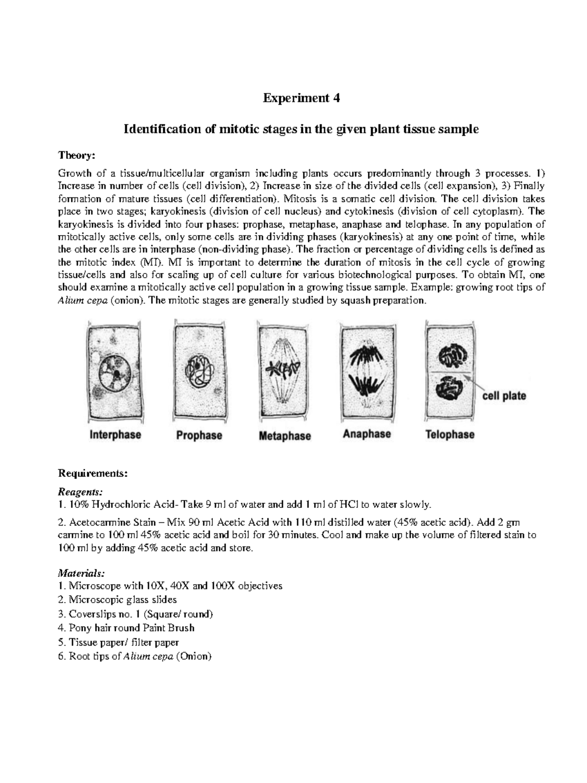 Experiment 4 - Mitosis - LabSheet 4 - Experiment 4 Identification of ...