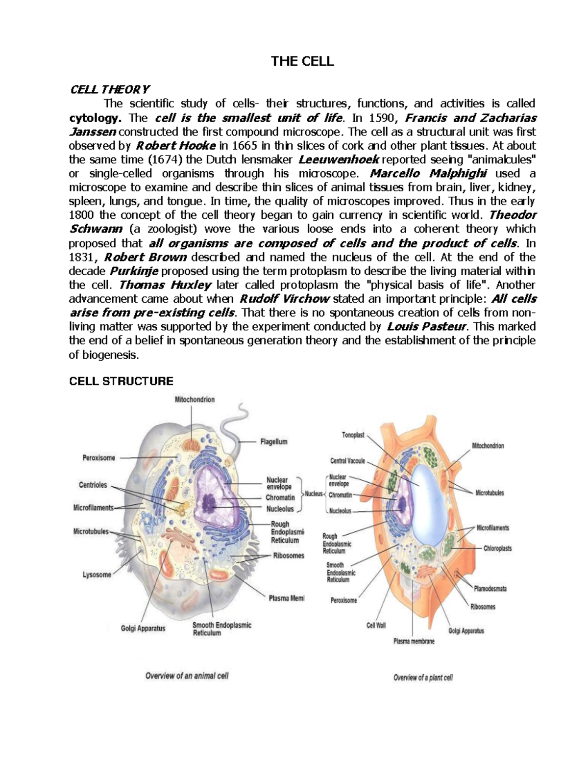 THE-CELL- Ultrastructure - THE CELL CELL THEORY The scientific study of ...