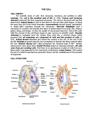 CELL- Cycle-1 - CELL- Cycle-1 - CELL DIVISION AND CELL CYCLE THE CELL ...