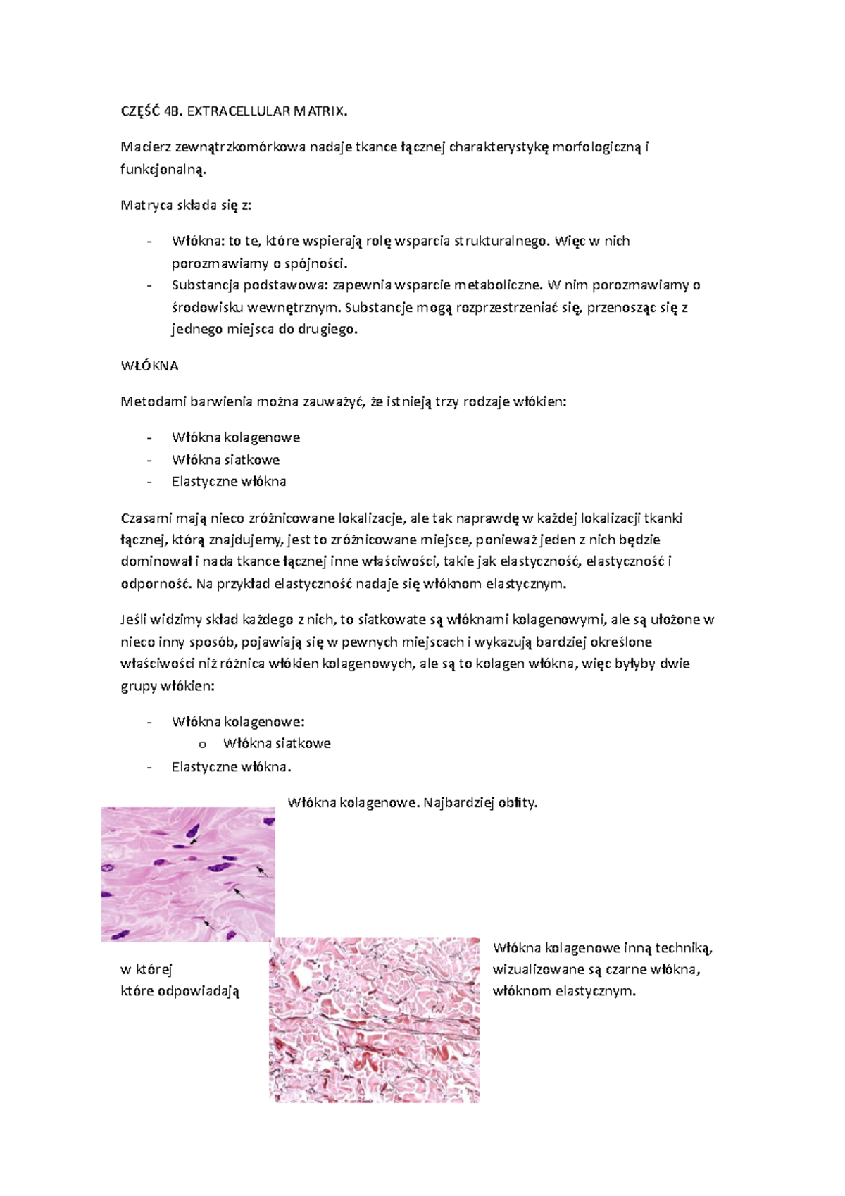Temat 4 - Notatki z wykładu 4 - CZĘŚĆ 4B. EXTRACELLULAR MATRIX. Macierz ...