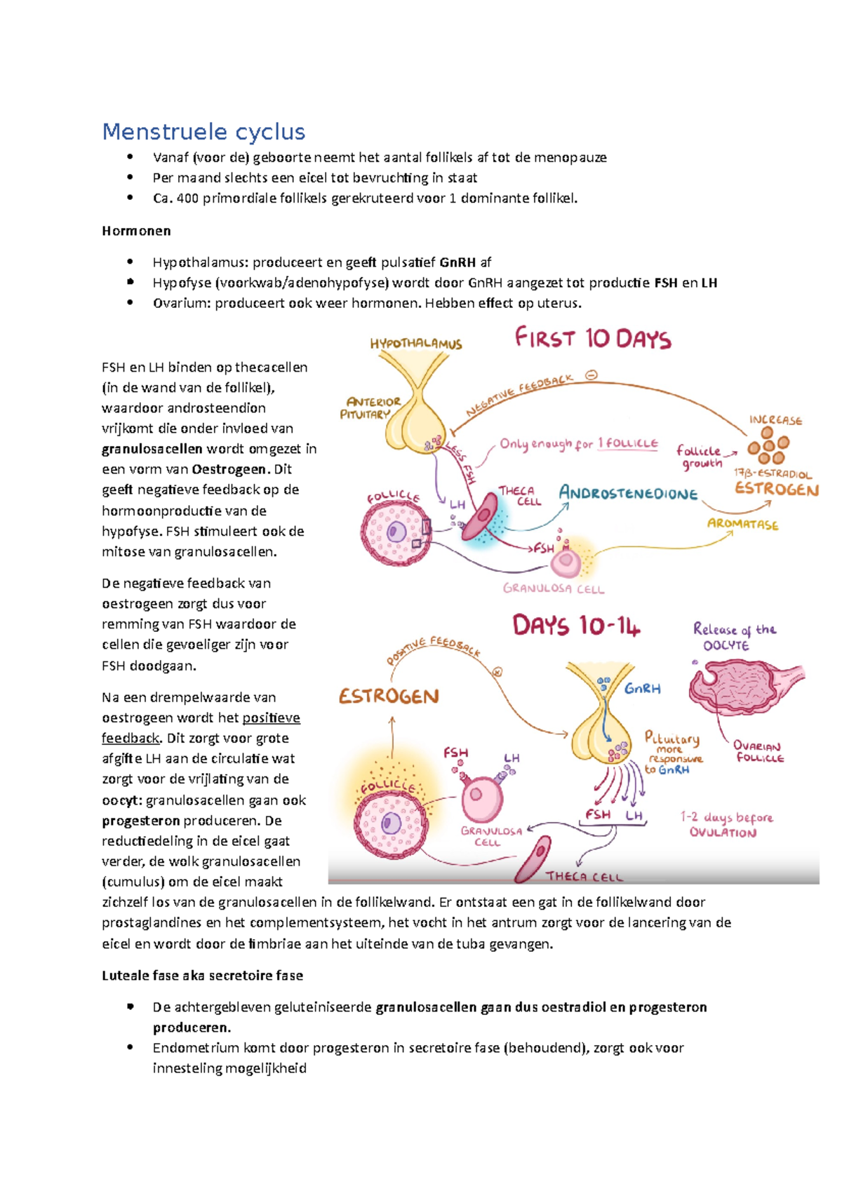 SV Thema 1&2 - Menstruele cyclus Vanaf (voor de) geboorte neemt het ...