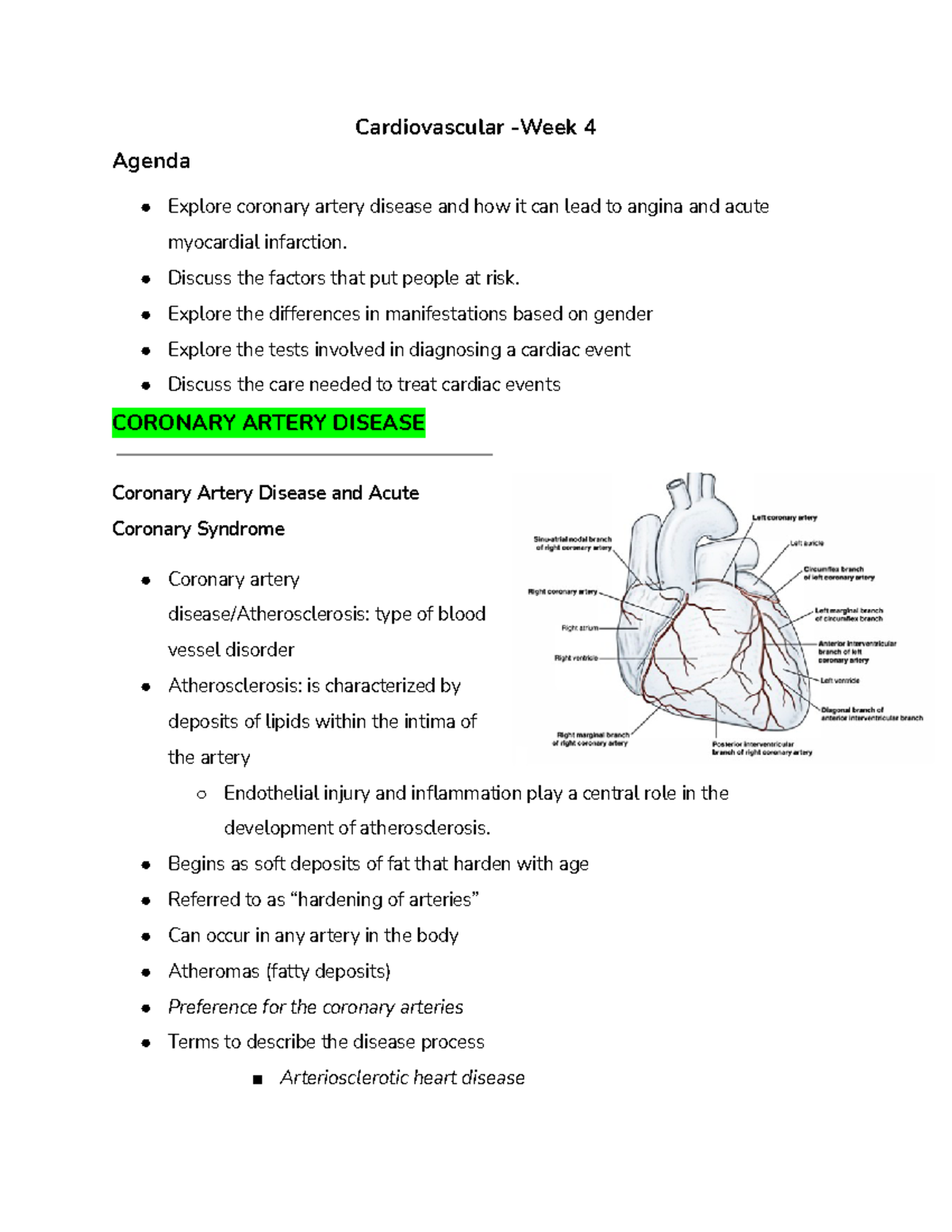 Normal Anatomy AND Physiology -Week 4 - Cardiovascular -Week 4 Agenda ...