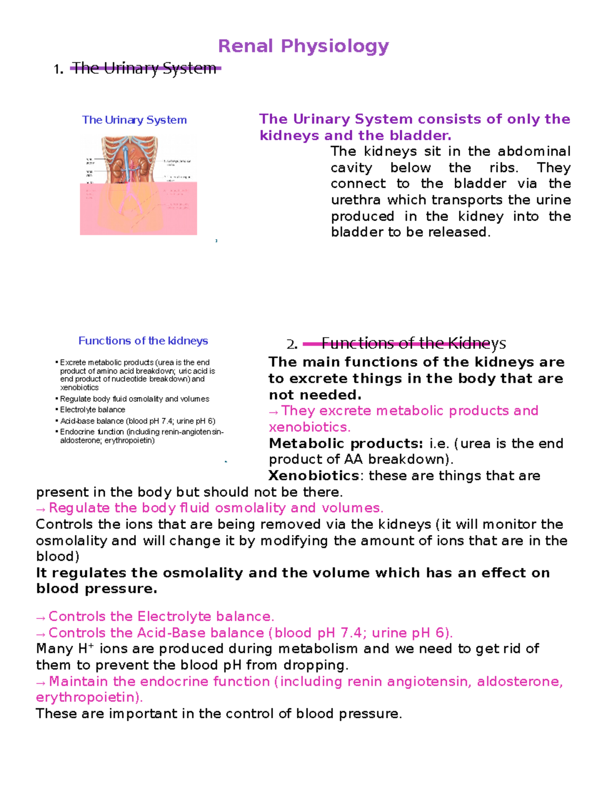 Renal Physiology - Lecture notes and detail - Renal Physiology 1. The ...
