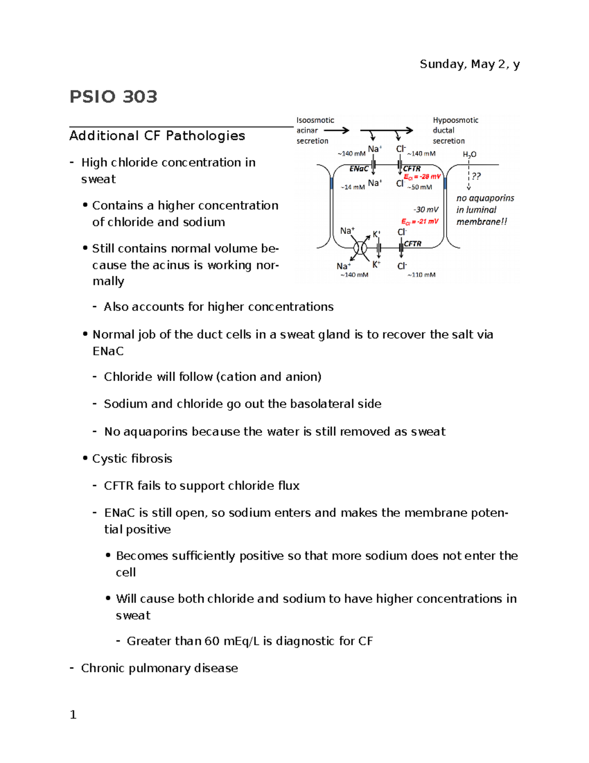Lecture 26 - Additional CF Pathologies - Wednesday, August 28, y PSIO ...