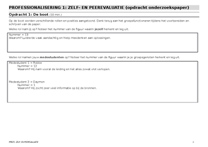 Examenopdracht professionele ideniteit ergotherapie Jaar 1 module 2 ...