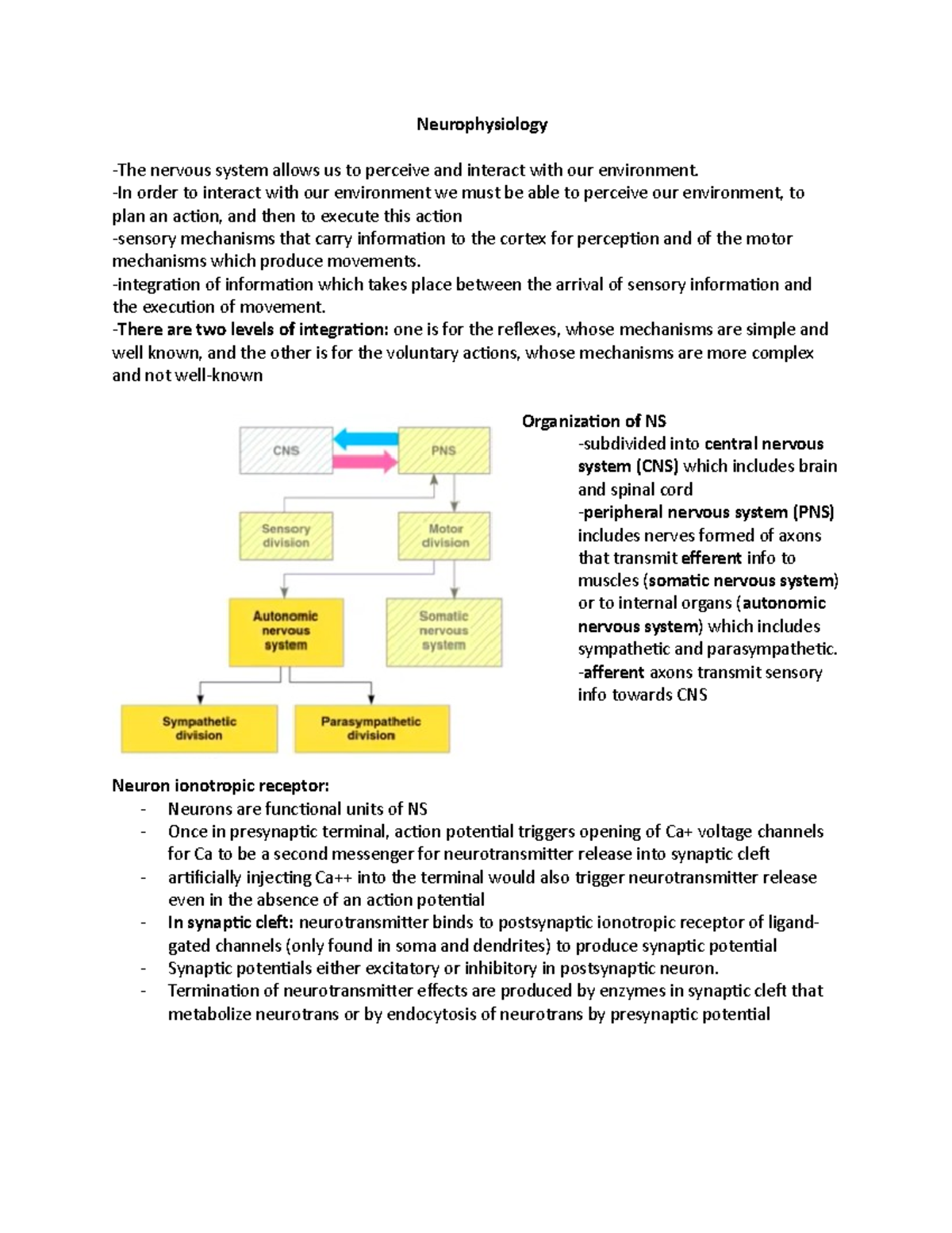 Neurophysiology - Carnegie - Neurophysiology -The nervous system allows ...