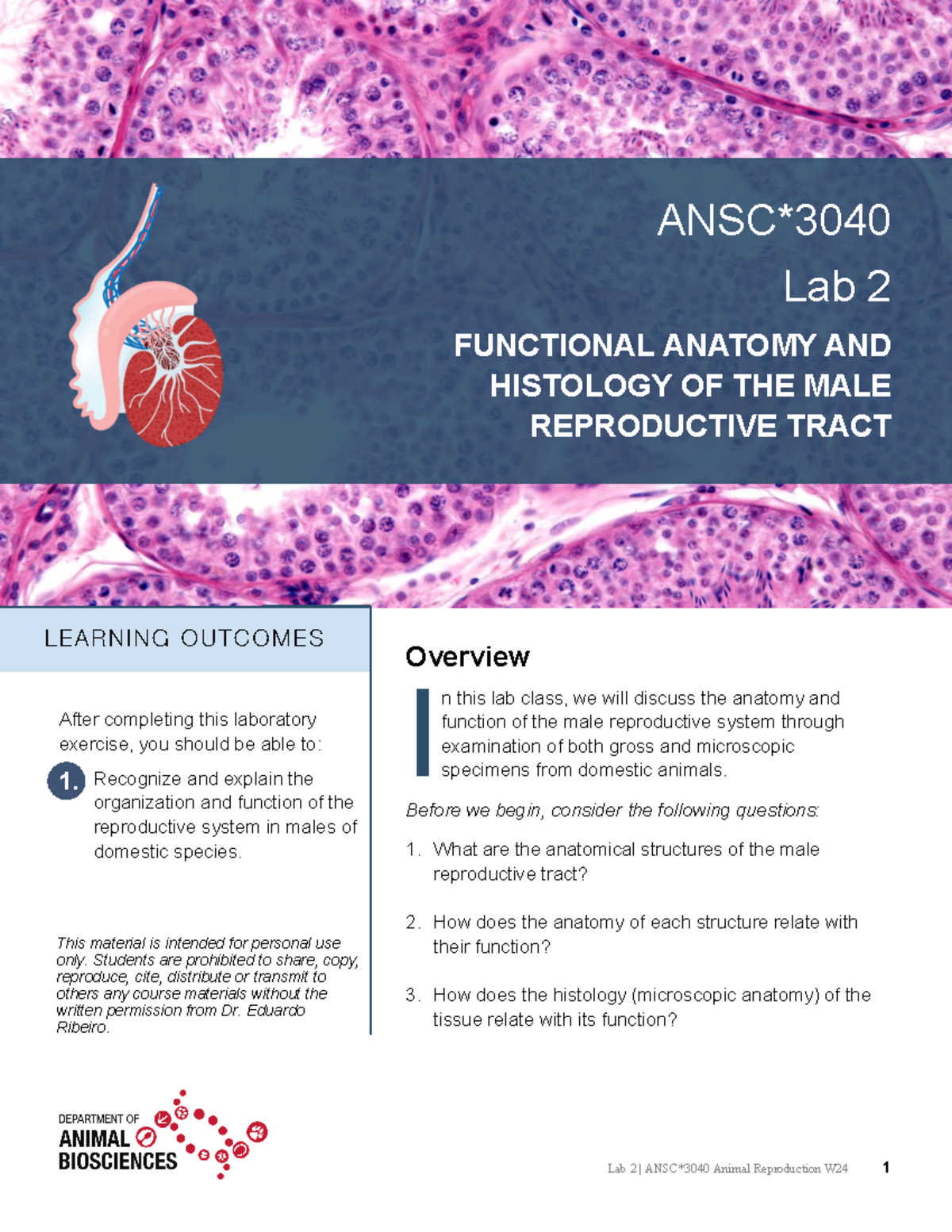 24-01-23&25 - Laboratory 2 - Worksheet - ####### After completing this ...