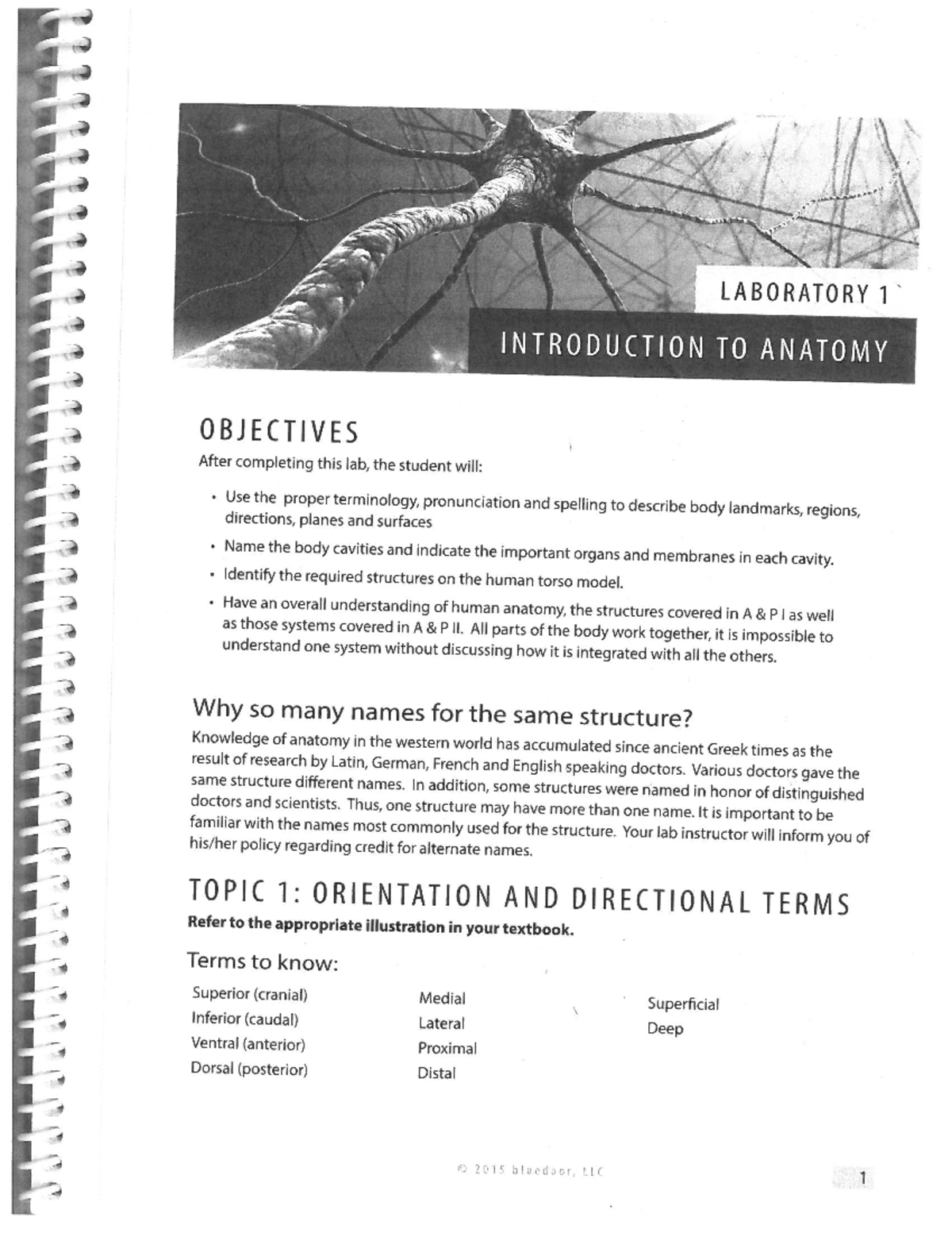 AP 1 lab notes - Chapter 1 - BIOL 121 - Studocu