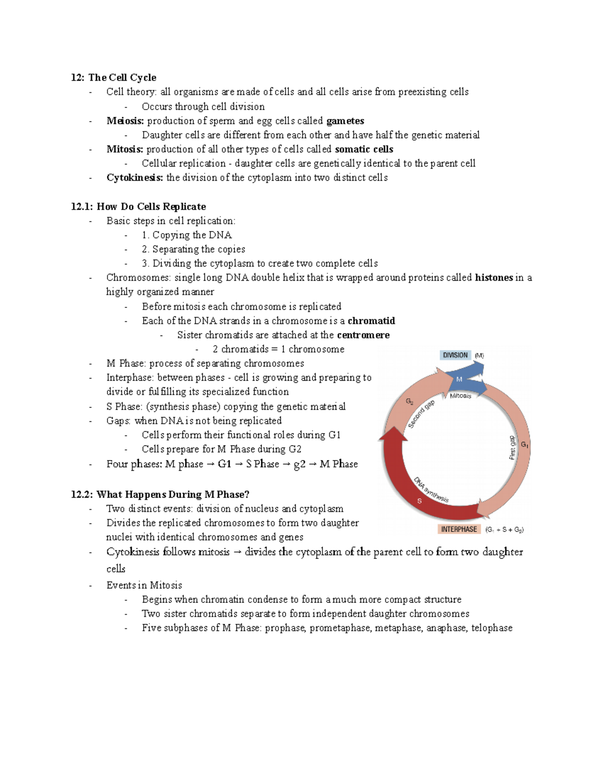 The Cell Cycle and Mitosis - 12: The Cell Cycle - Cell theory: all ...