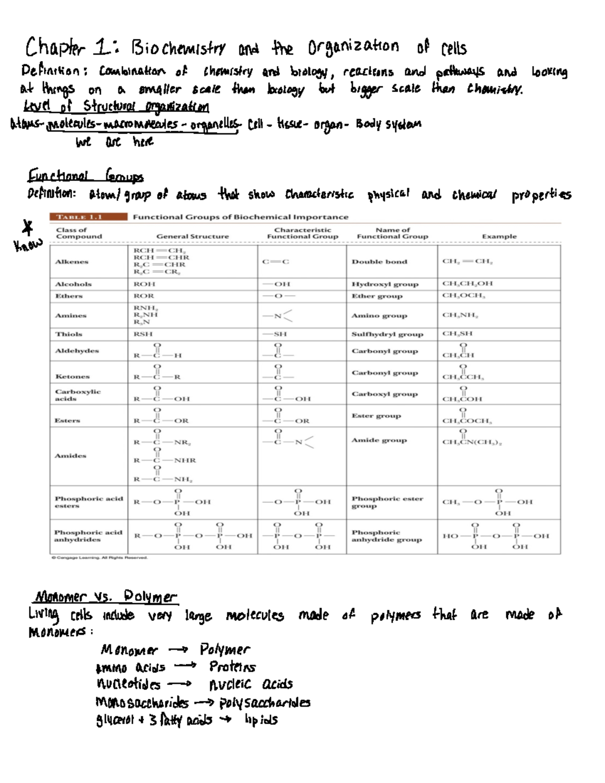 Biochem chapter 1 - Lecture notes 1 - CHEM 451 - EMU - Studocu