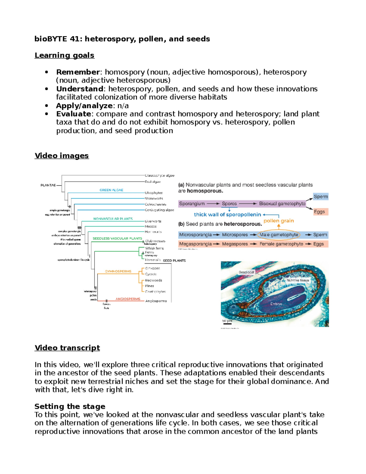 1802.Notes guide.bio BYTE 41 - bioBYTE 41: heterospory, pollen, and ...