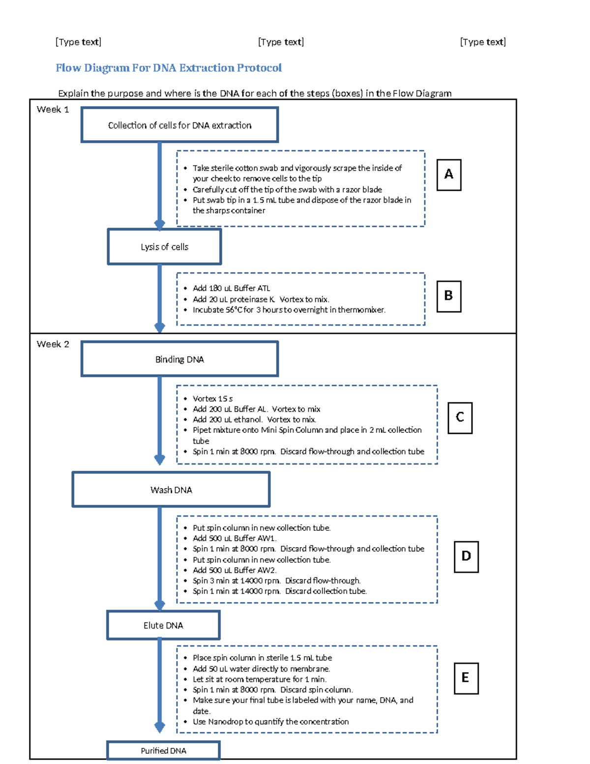 DNA Extraction Flow Diagram - [Type text] [Type text] [Type text] Flow ...