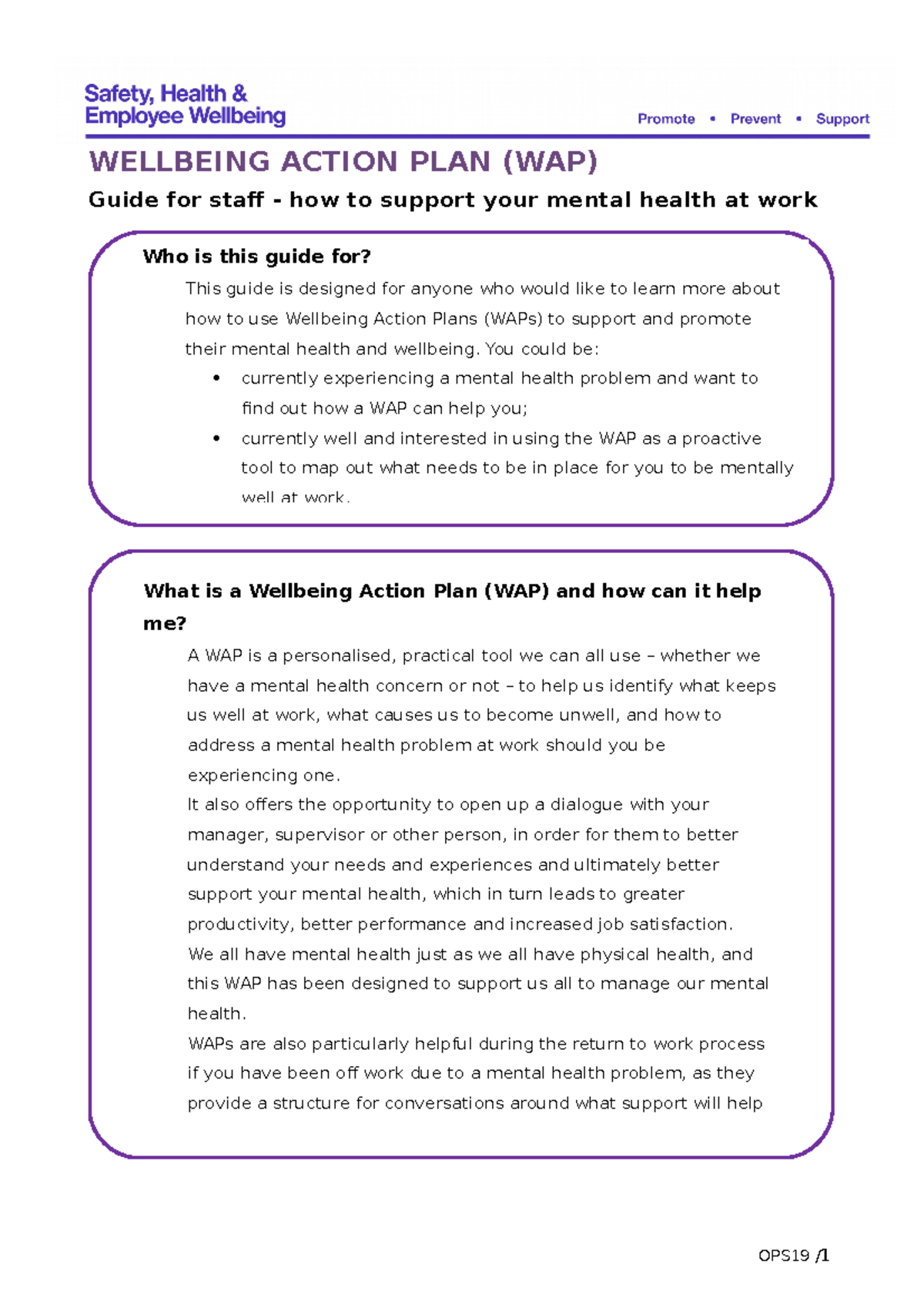 Individual wellbeing action plan - WELLBEING ACTION PLAN (WAP) Guide ...