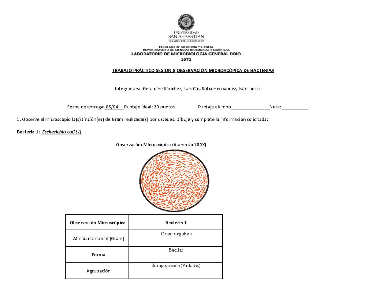 Reporte Sesión 8. Observación Microscópica DBIO 1072 202410 72c2532dfec9fcc2efd79082 b05ca1d1 ...