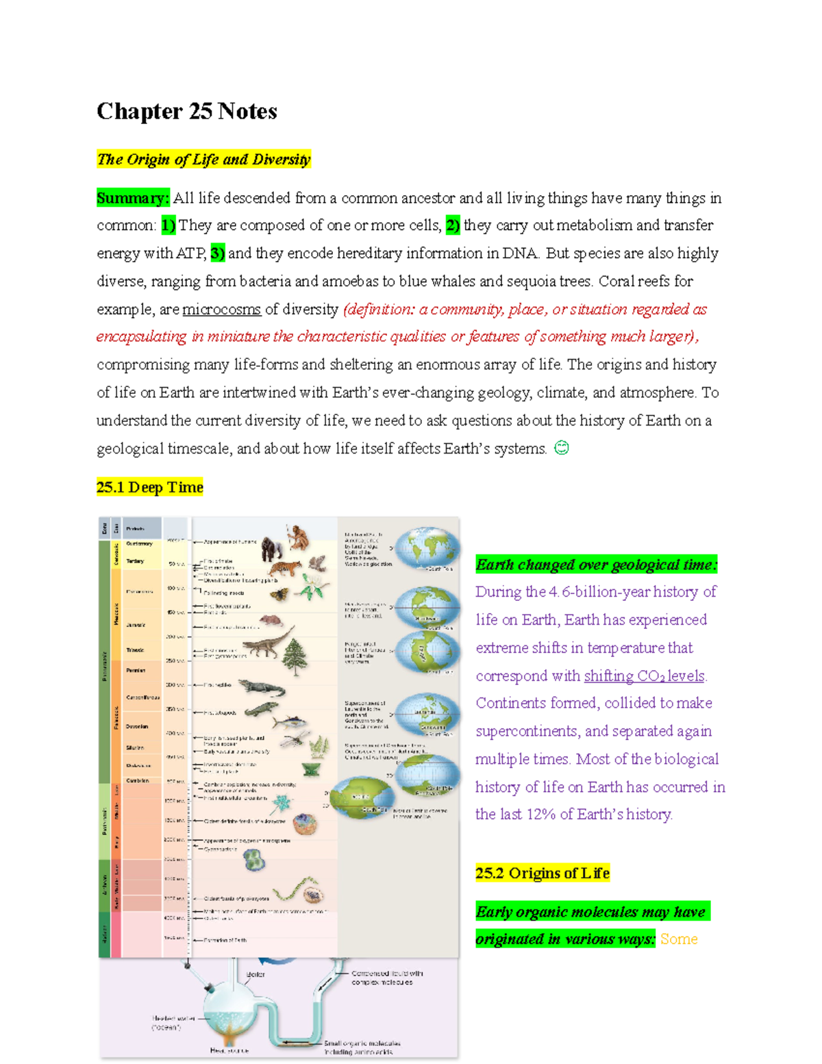 Bio Chapter 25 Notes - Biology - Chapter 25 Notes The Origin of Life ...