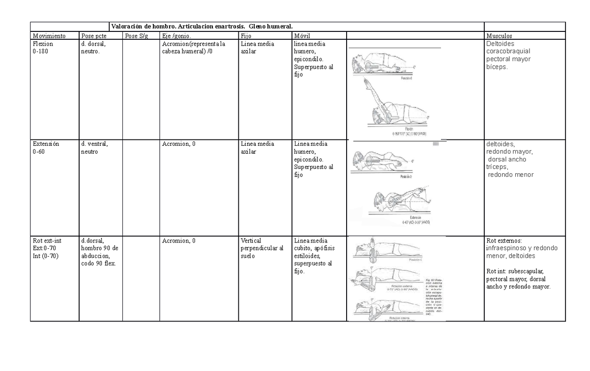 Valoración de hombro - goniometria - Valoración de hombro. Articulacion ...