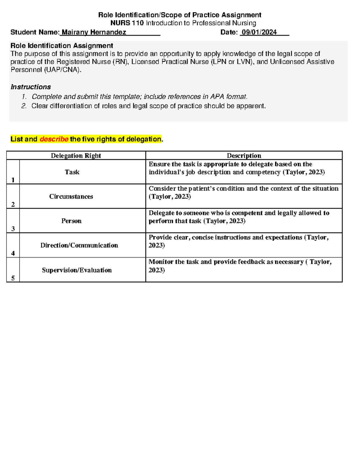 Role Idenitification Individual Scope of Practice Assignment Template ...