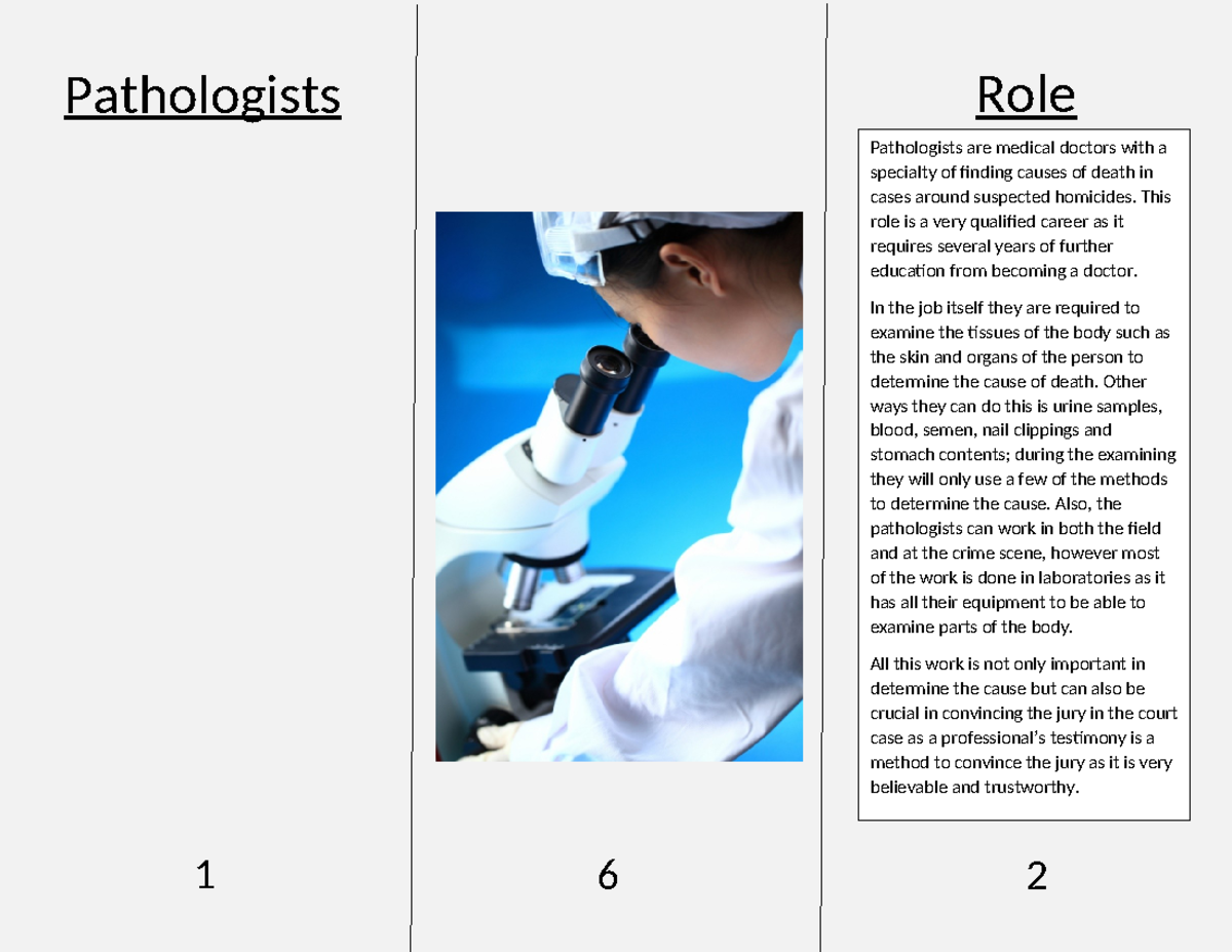 Pathoglogists Leaflet - 1 6 Pathologists Role Pathologists are medical ...