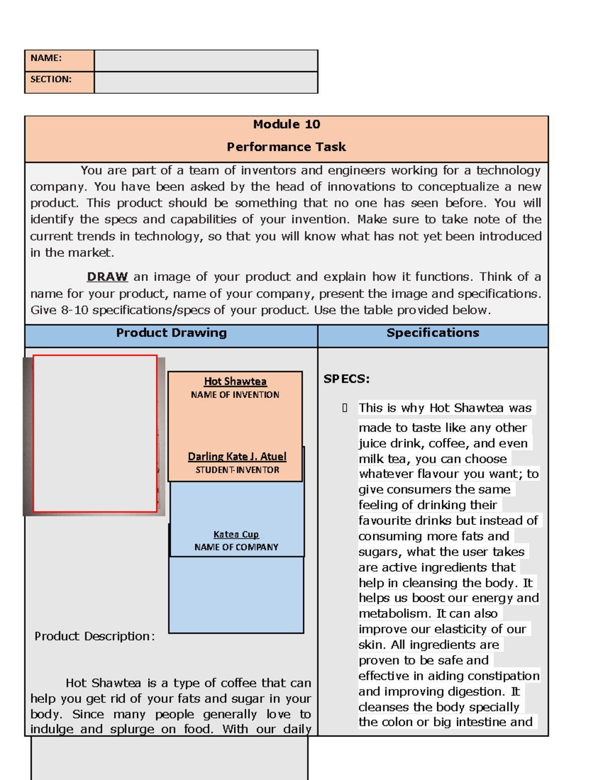 Module 10 PT Template ( Final) - NAME: SECTION: Module 10 Performance ...