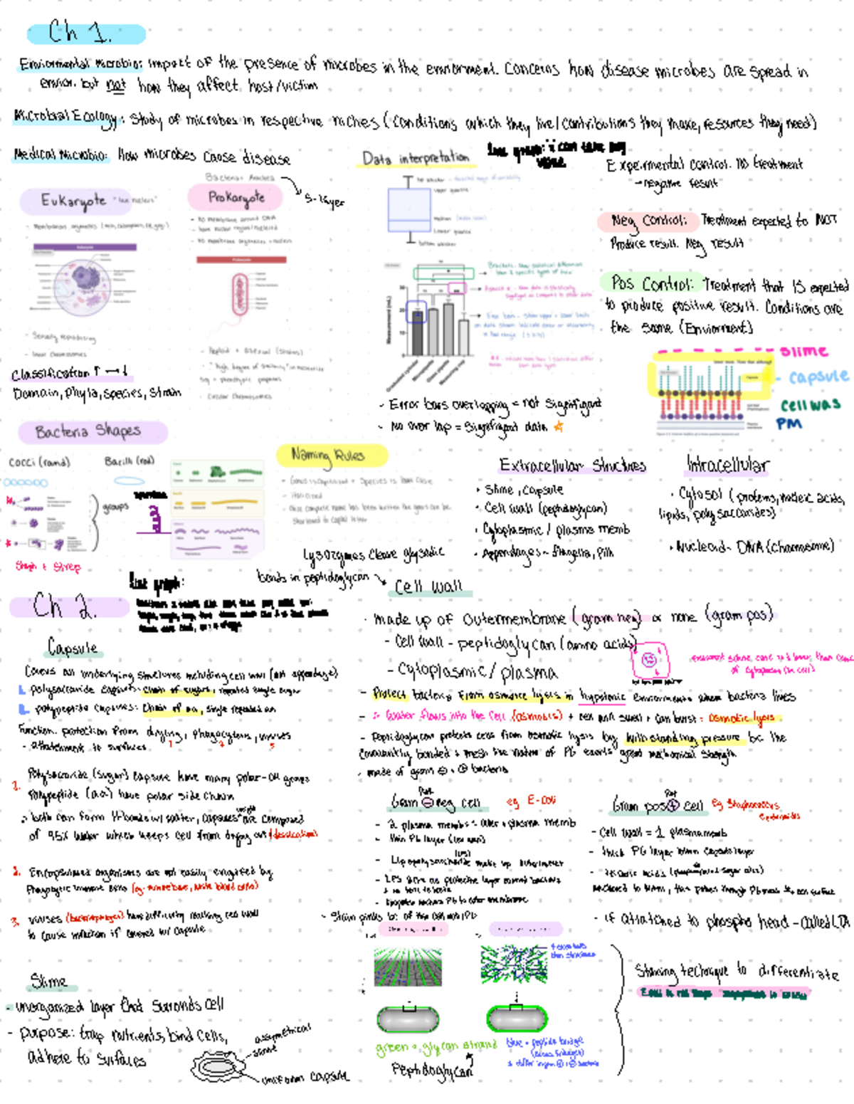 Micro Midterm cheat sheet - Ch . Enviornmental Microbio : impact of the ...