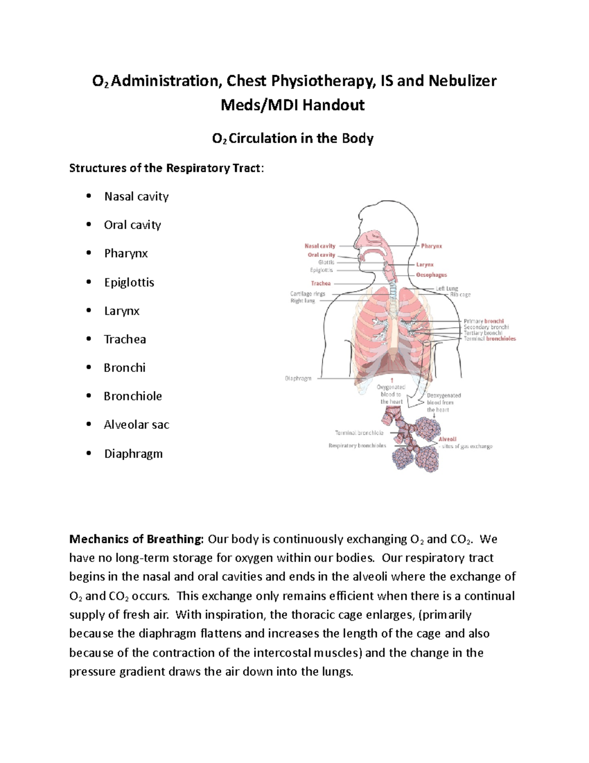 O2+Administration - BRIEF INFO ON OXYGEN - O 2 Administration, Chest ...