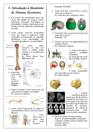 Anamnese e exame especular - Gd 1- Consulta ginecológica e exame ...