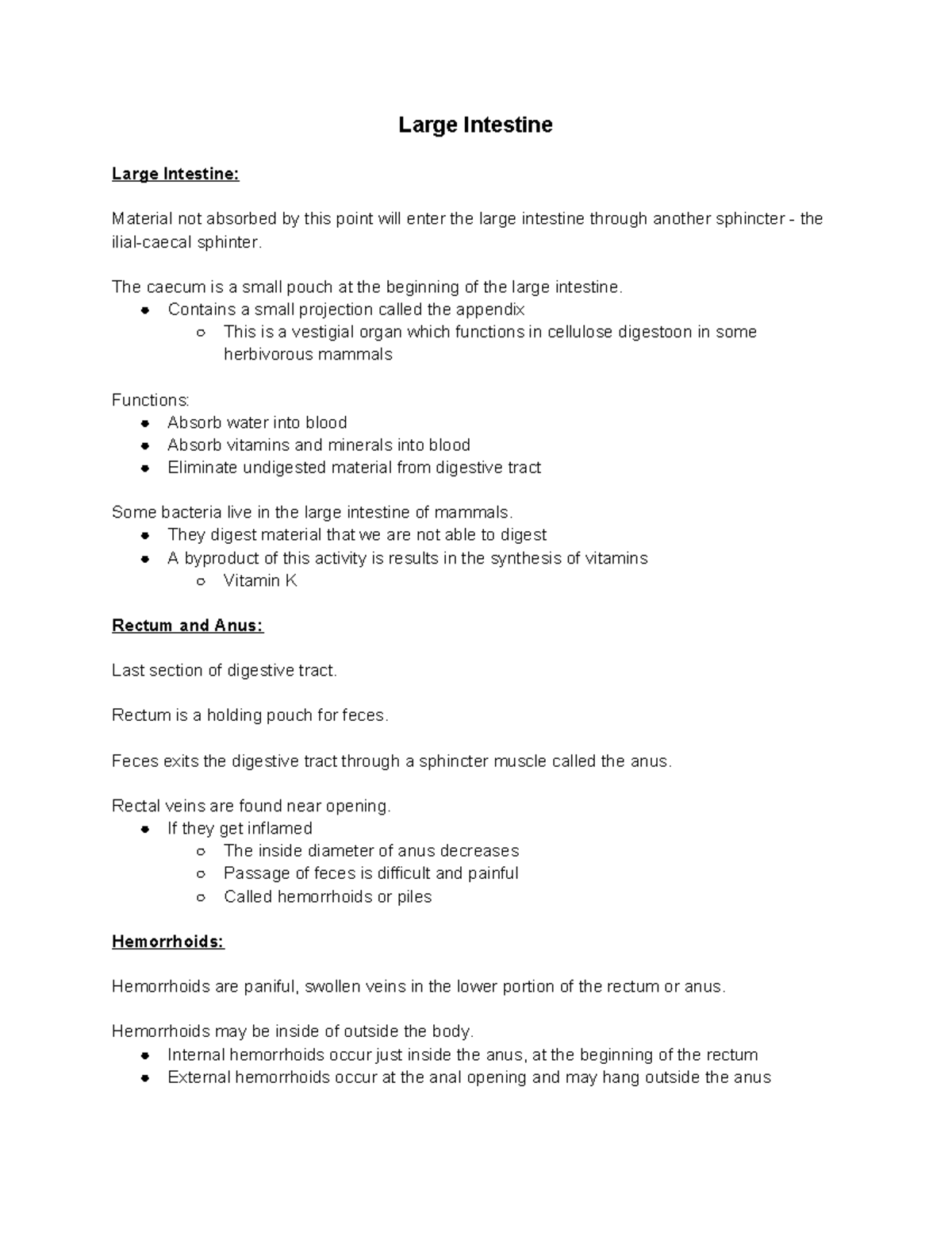 7 Digestive System - Large Intestine - Large Intestine Large Intestine ...