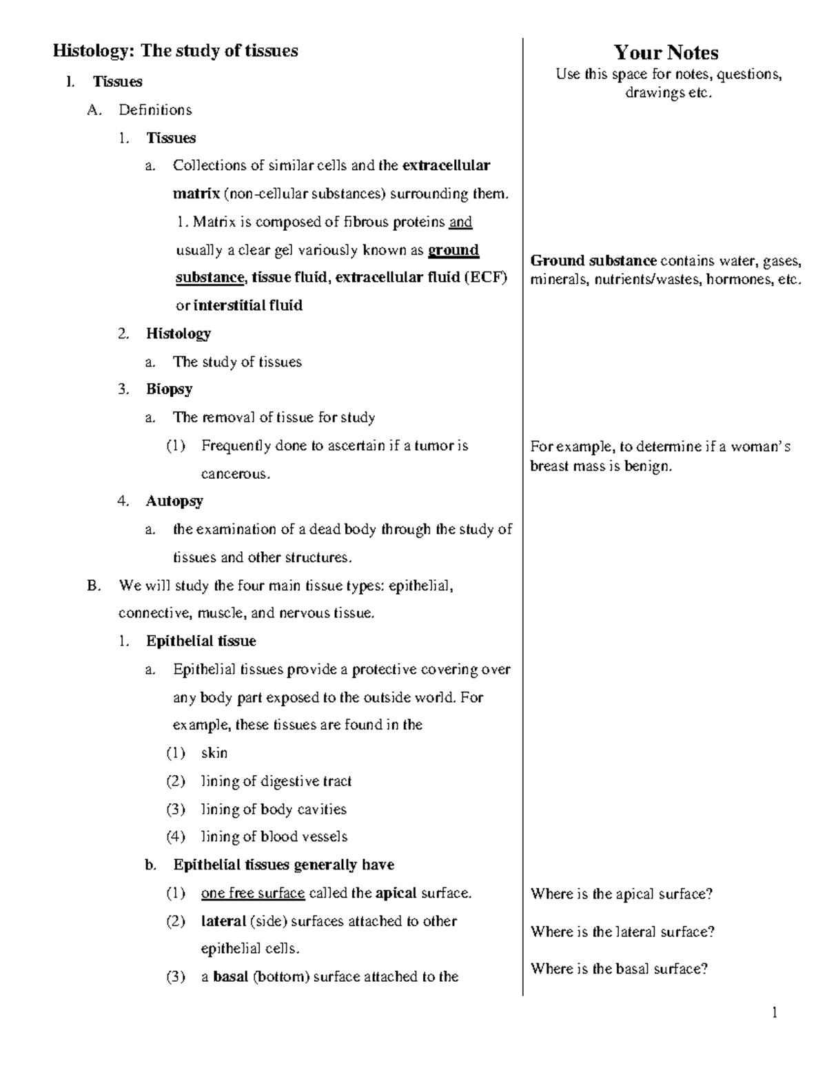 Histology handout - Prof. Raneiy - Histology: The study of tissues I ...