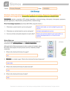 03.01 Cell Division Virtual Lab Activity - Cell Division Virtual Lab ...