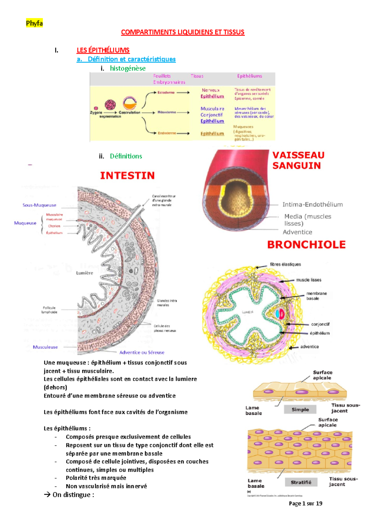 Phyfa compatiiments liquidiens et tissus 2 - Phyfa COMPARTIMENTS ...