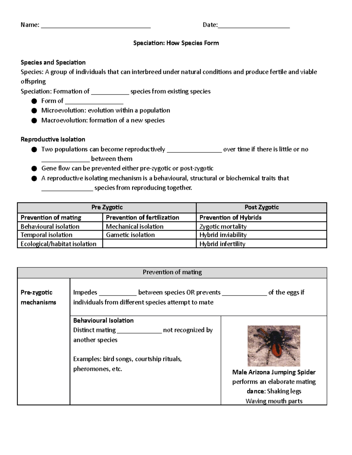 SBI3U Speciation notes - Speciaion: How Species Form Species and ...