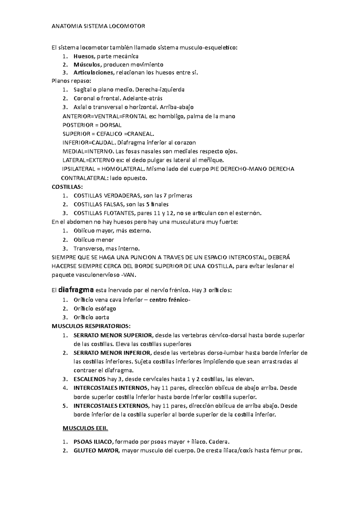 Anatomia sistema locomotor. anatomia primero - ANATOMIA SISTEMA ...
