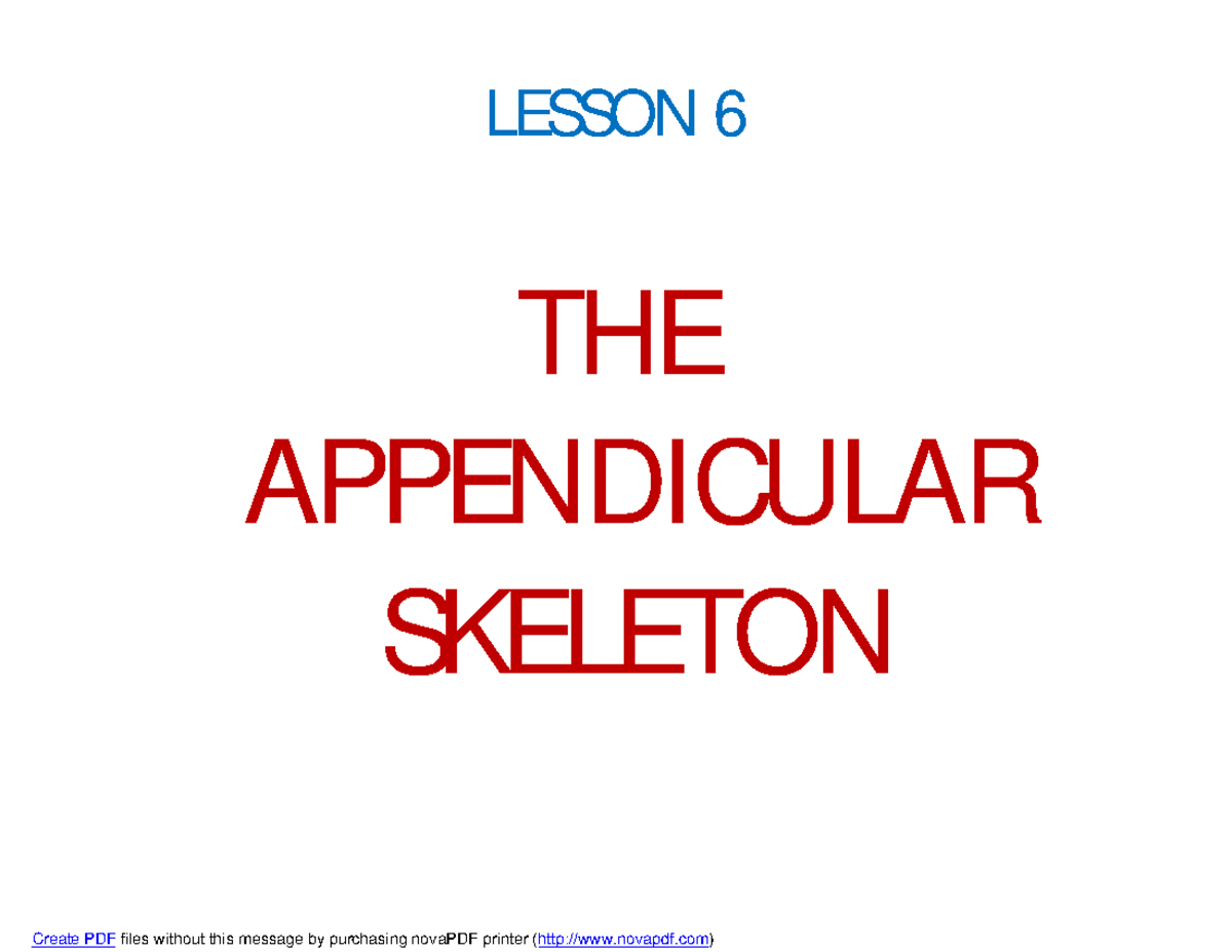 Lesson 6 Appendicular - notes - LESSON 6 THE APPENDICULAR SKELETON ...