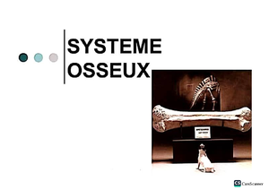 La region sous hyoidienne - La région Sous hyoïdienne Pr. Y. ROCHDI Pr ...
