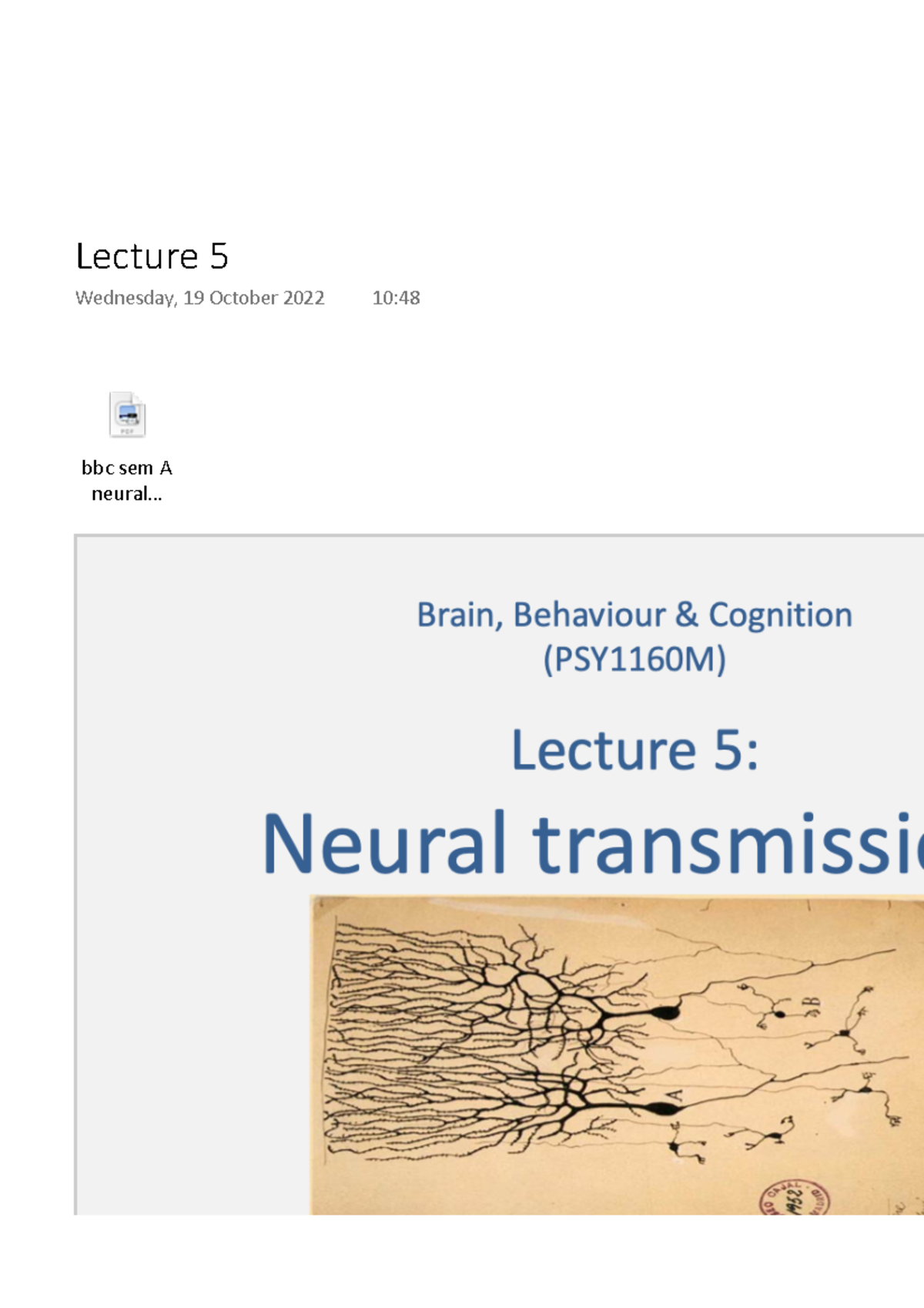 Lecture 5 neural transmission - bbc sem A neural& Lecture 5 Wednesday ...