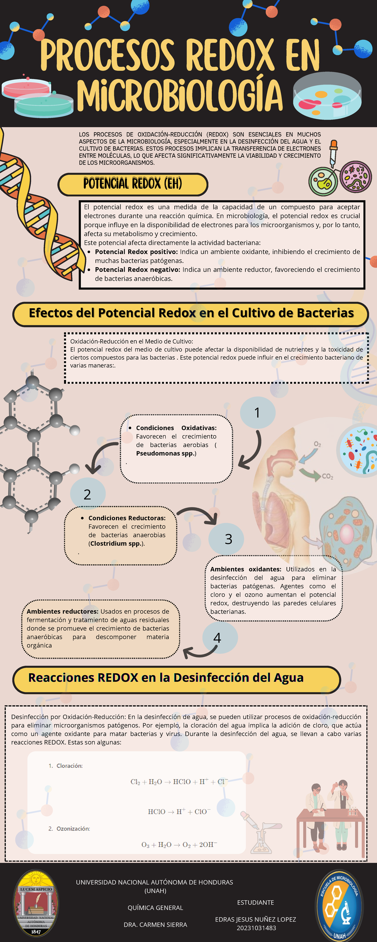 Nuñez Edras Jesus Infografia Redox - Procesos REDOX en Microbiología El potencial redox es una ...